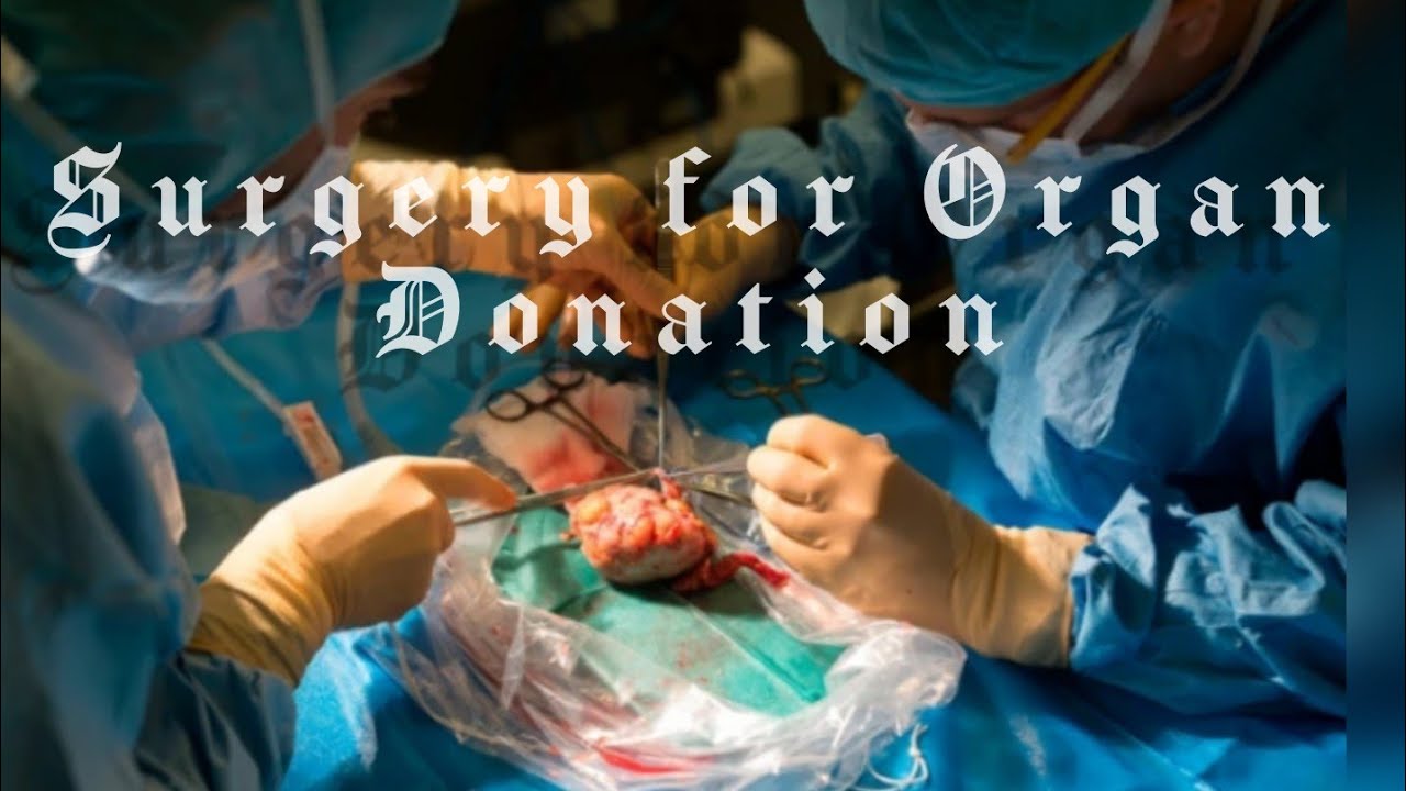 Organ donation procedure.open surgery - YouTube