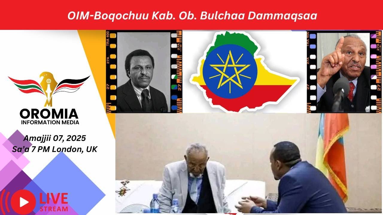 Ga'ee siyaasaa fi ogummaa Kab. Ob. Bulchaa Dammaqsaa - YouTube