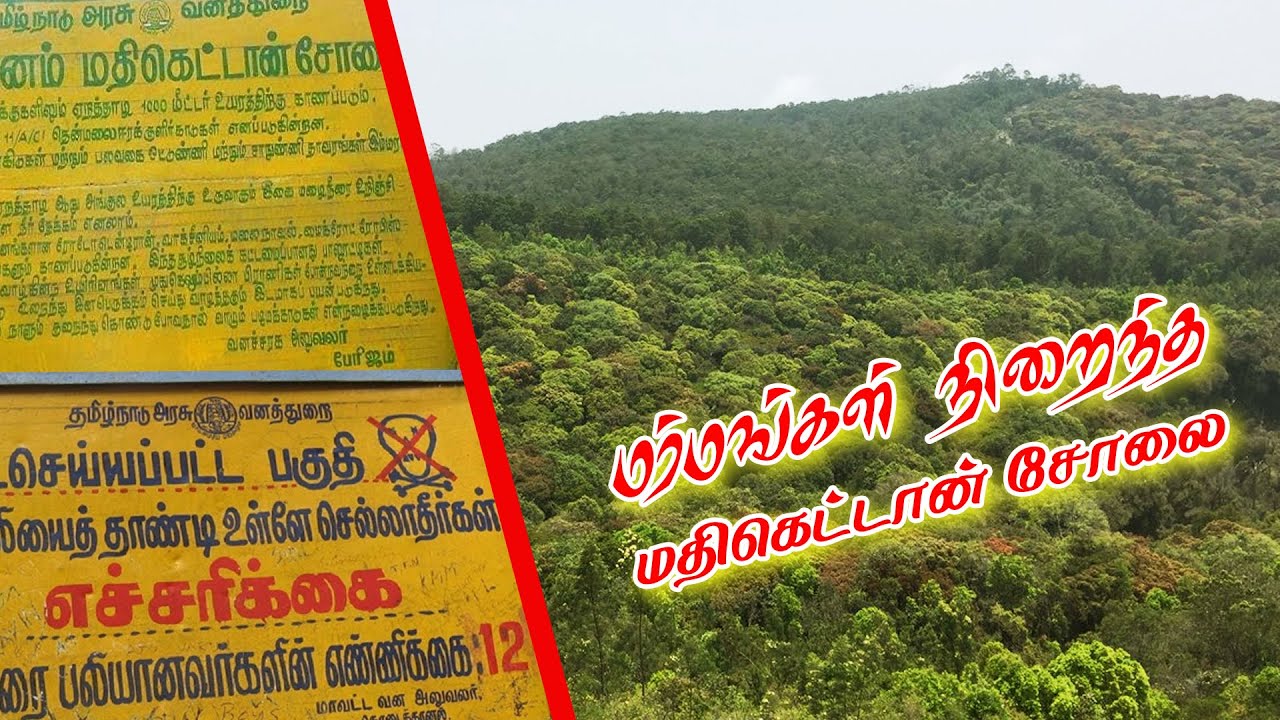 தமிழ்நாட்டில் ஒரு மர்ம காடு | மதிகெட்டான் சோலை | Madhi Kettan Solai ...