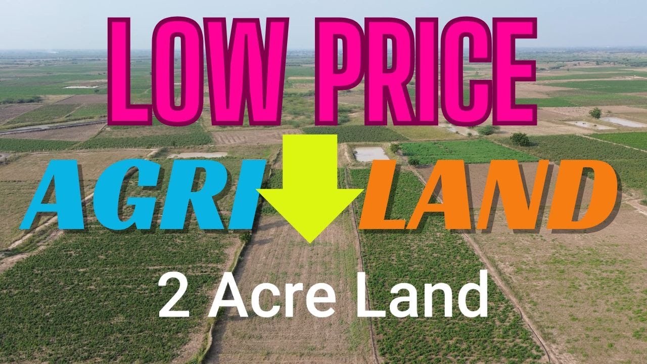 2 Acre Agriculture land - Low Price Agri Lands for SALE!!! #agriculture ...