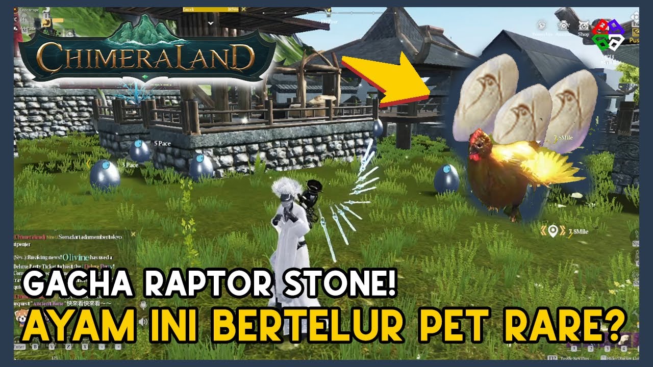 GACHA RAPTOR STONE AYAM BERTELUR PET RARE DI GAME CHIMERALAND INDONESIA ...