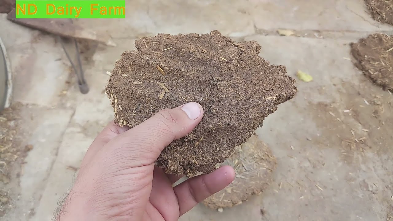 Pure Desi Cow Dung Cake Online Shopping - शुद्ध देसी गाय के गोबर कंडे ...