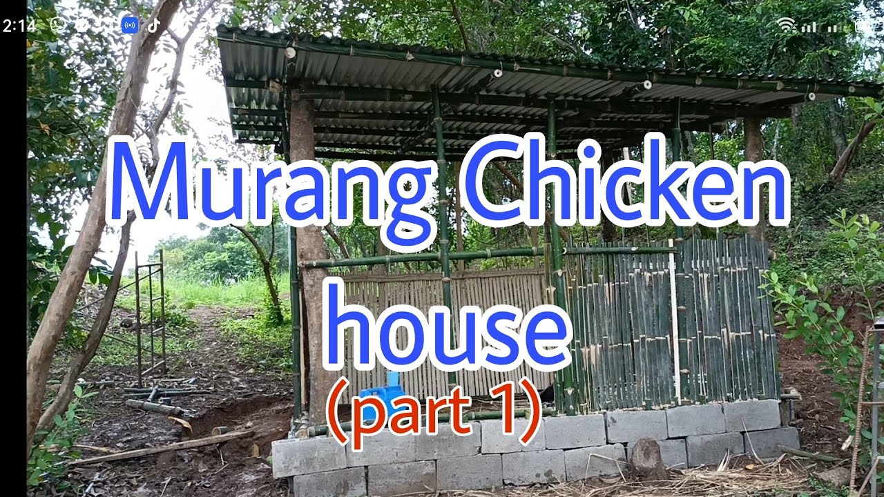 Low cost chicken house (part 1) | Murang bahay ng manok #philippines # ...