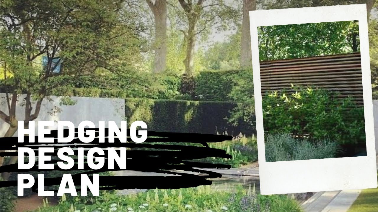 Hedging and design plans🌲🌲🌲 garden evolution - YouTube