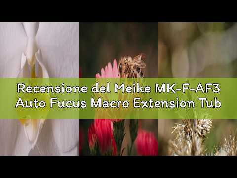 Recensione del Meike MK-F-AF3 Auto Fucus Macro Extension Tube for Compatible with All Fujifilm Mirro