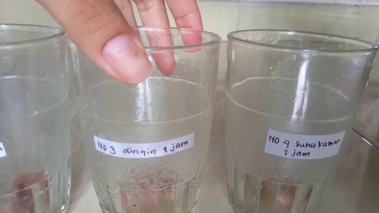 Pengujian Enzim Bromelin dan Pengujian Enzim Ptialin dan Amilase - YouTube