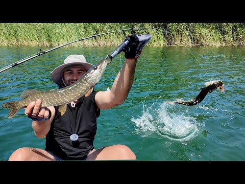 🎣 Turna Balığı Nasıl Yakalanır? | Sahte, Rapala, Silikon, Kaşık & Takım Seçimi