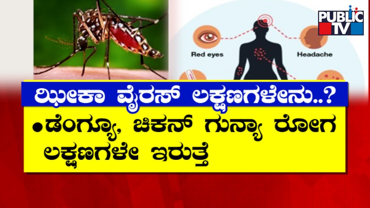 What Are The Symptoms Of Zika Virus..? | Public TV - YouTube
