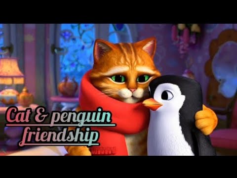 "cat and penguin friendship"|"cat and penguin in snow land" - YouTube
