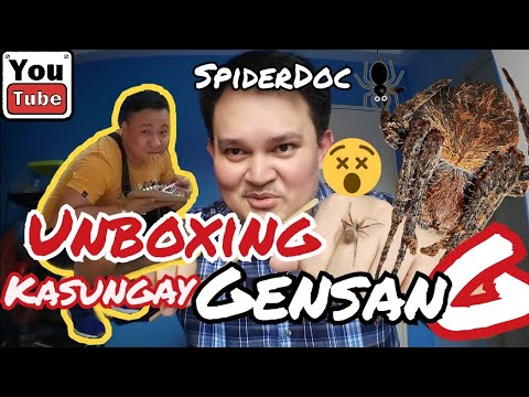 UNBOXING GENSAN Spiders from idol Kasungay - ZaldyTv2019 Gagambang ...