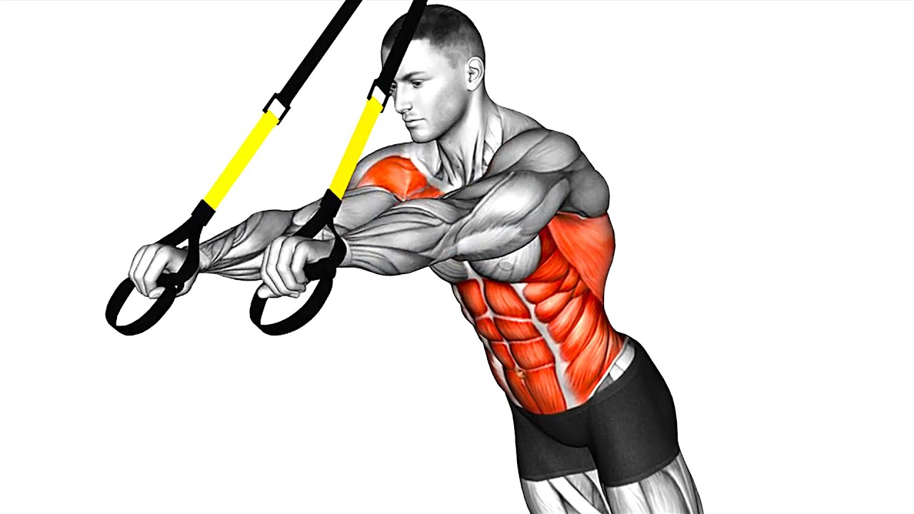 Bodyweight Training (Suspended Strength Exercises) - YouTube