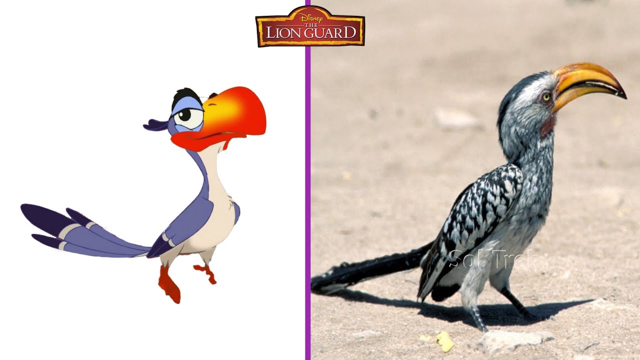 The Lion Guard In Real Life Characters - YouTube