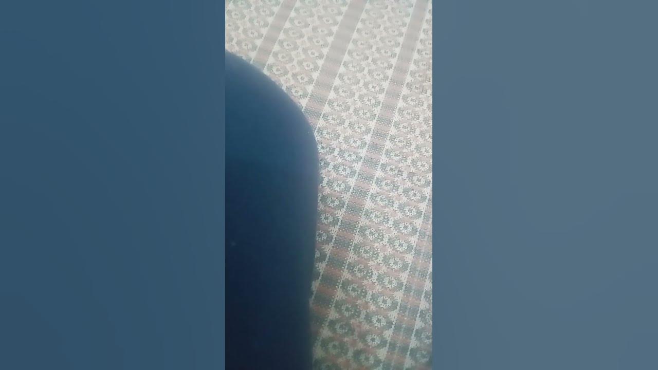 13 décembre 2024 - YouTube