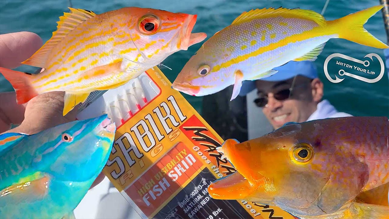 HOW MANY FISH SPECIES CAN YOU CATCH ON 1 SABIKI RIG? TONS OF REEF FISH ...