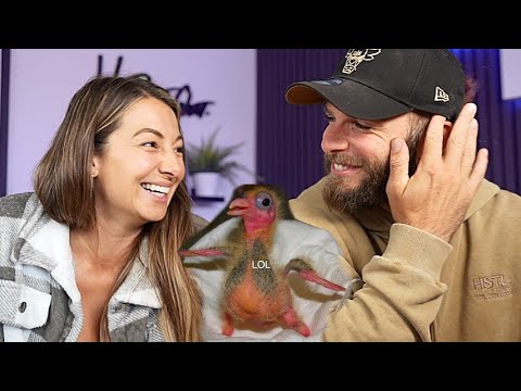 HOW MANY of THESE have you ACTUALLY SEEN? (lol) - Life is a simulation ...