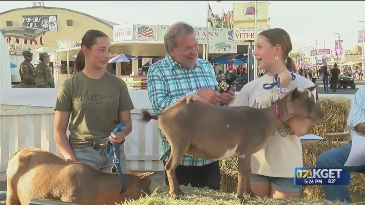 Young ranchers are presenting their animals at the Kern County Fair ...