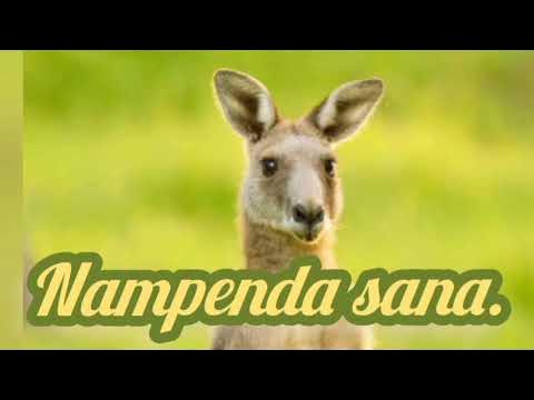 NAMPENDA SANA OFFICIAL AUDIO MP4 - YouTube