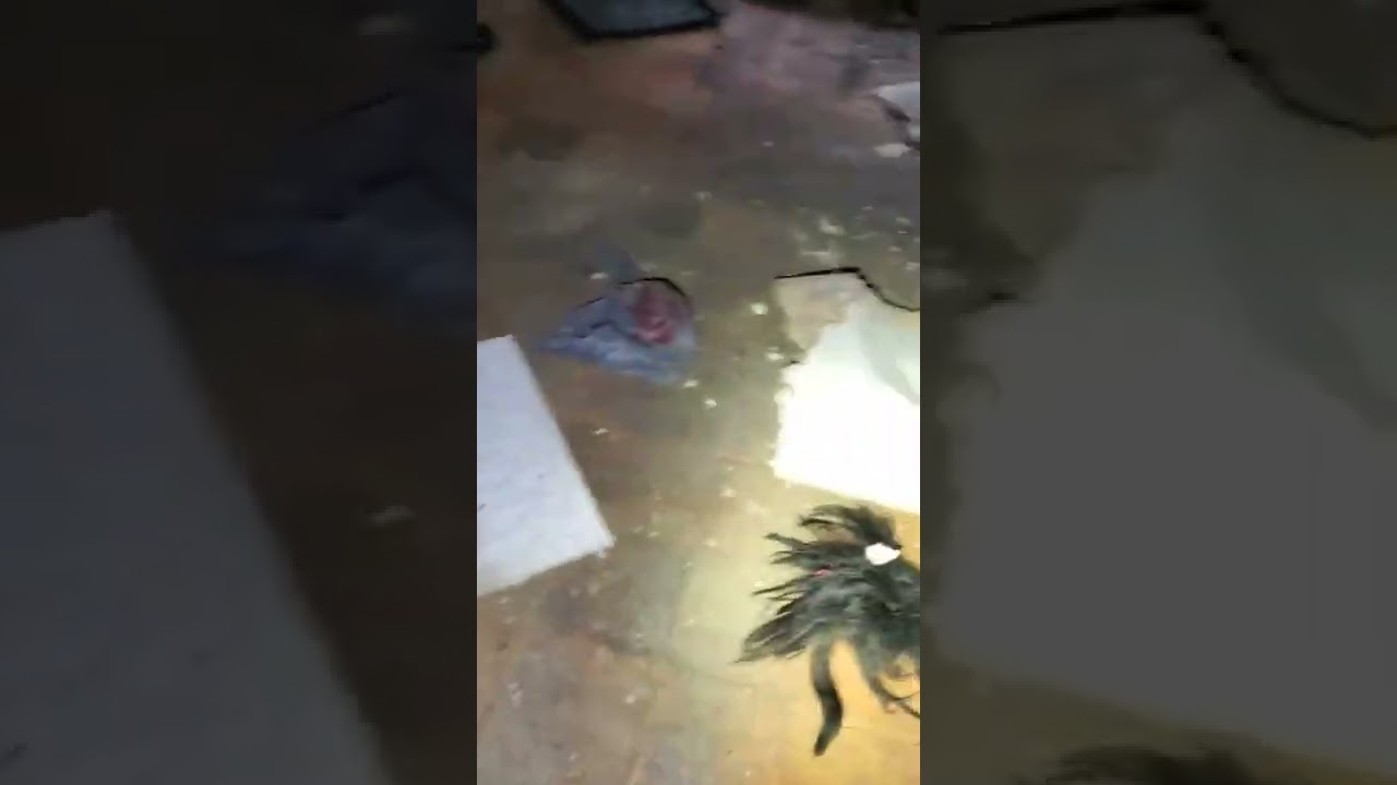 TUMBLEWEAVE! #shorts - YouTube
