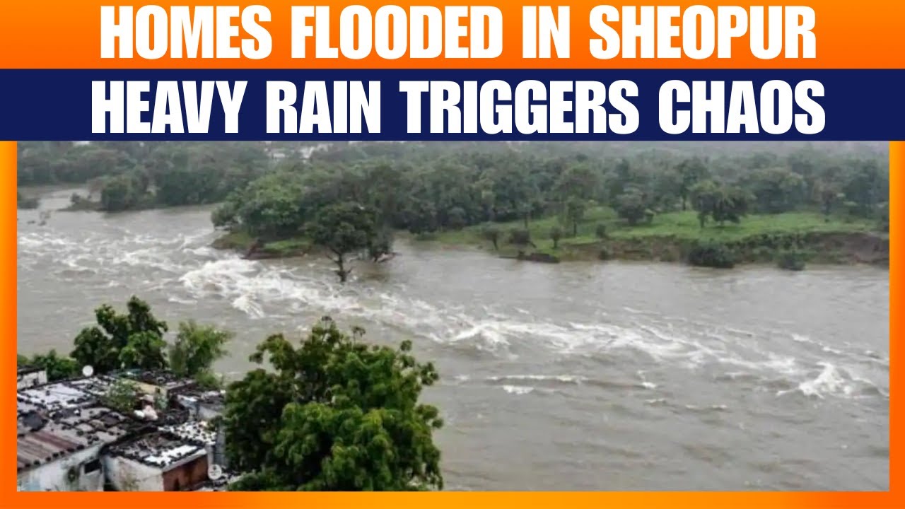 Sheopur Flooded After Heavy Rain | Water Enters Homes, Locals Struggle ...