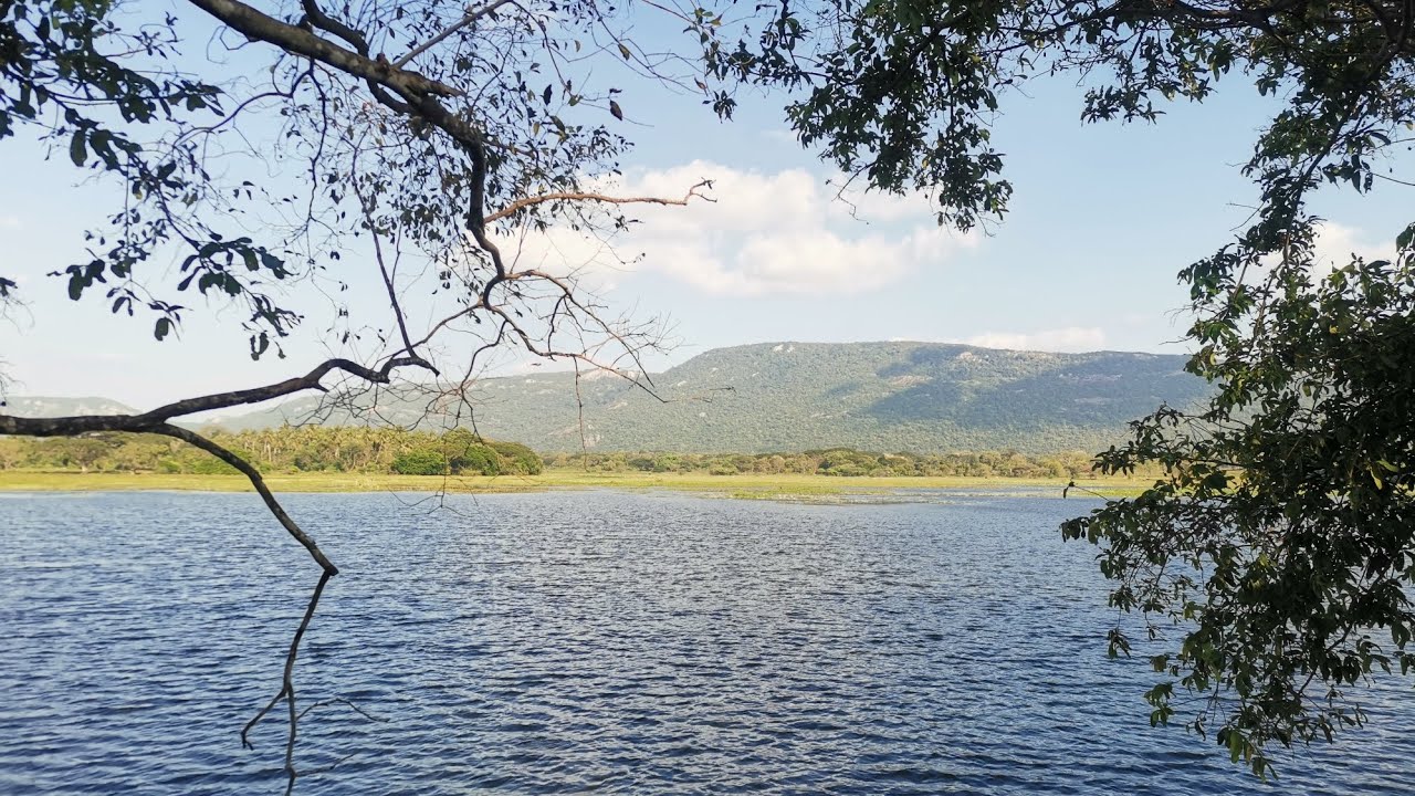 Journey to Ehetuwewa Lake in Galgamuwa - A Visual Treat for Your Eyes ...