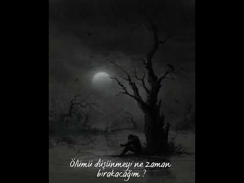 Psychonaut 4 - Sweet Decadance (Türkçe Çeviri).