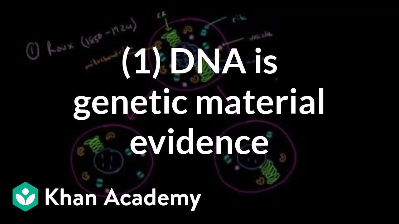 Evidence That Dna Is Genetic Material 1 Biomolecules Mcat Khan
