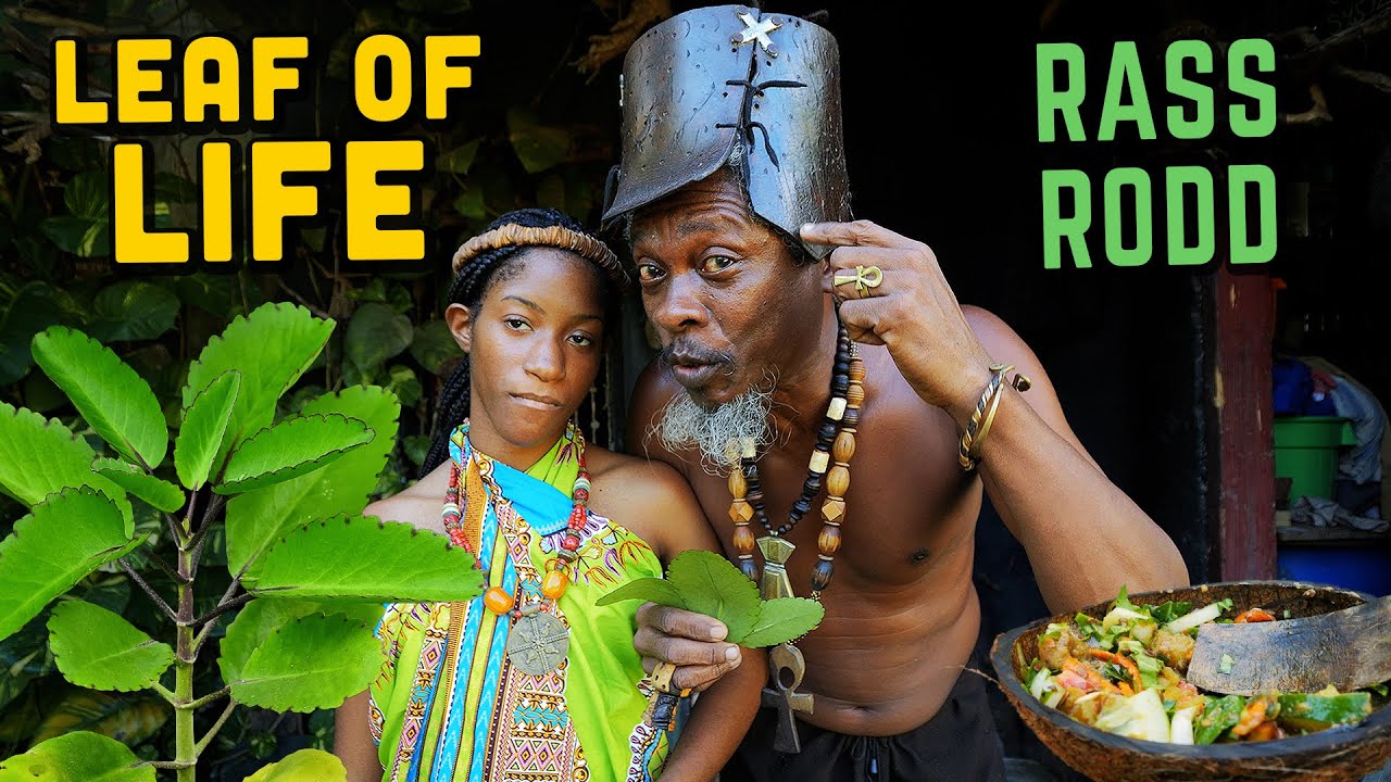 Rasta Style LEAF of LIFE Salad with Coconut Cream Glaze! - YouTube