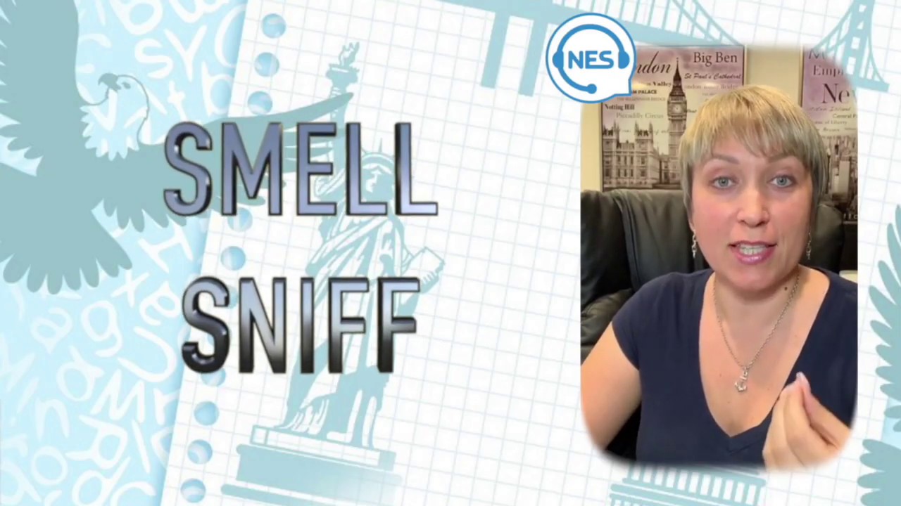SMELL - SNIFF. Уроки Английского. - YouTube