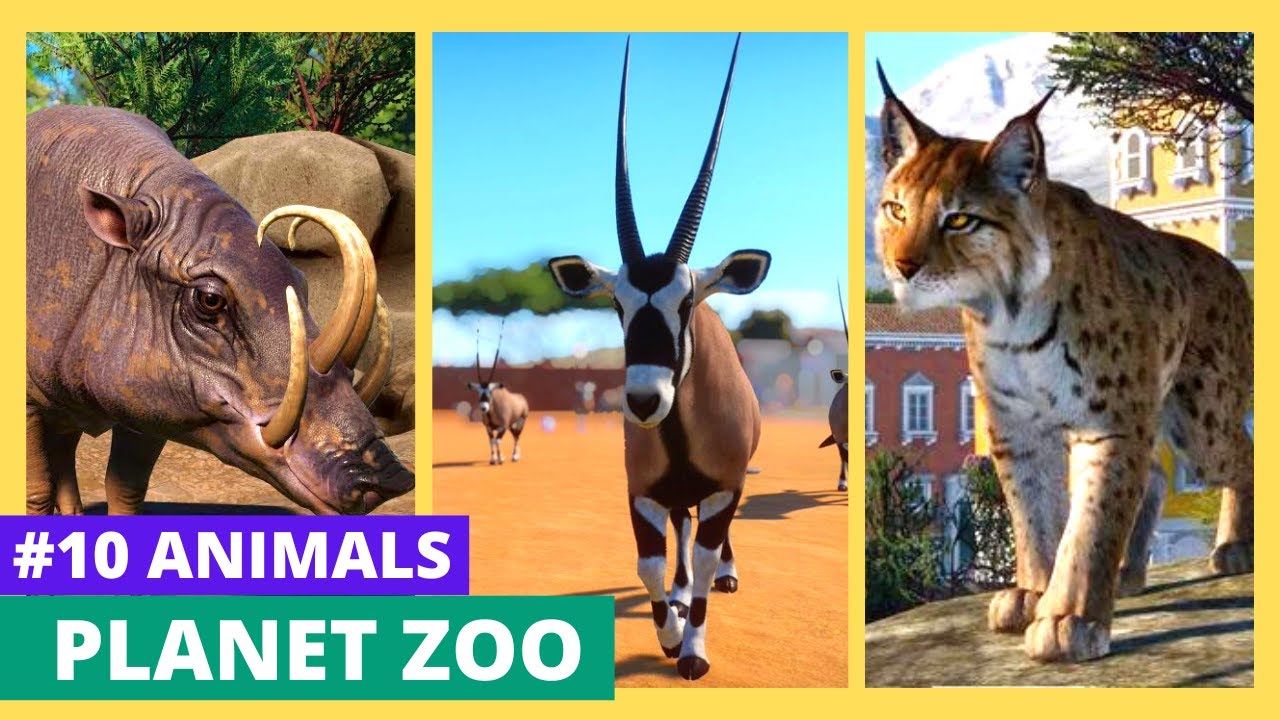 Super Planet Zoo! #10 Names And Sounds Wild Animals 08 - YouTube