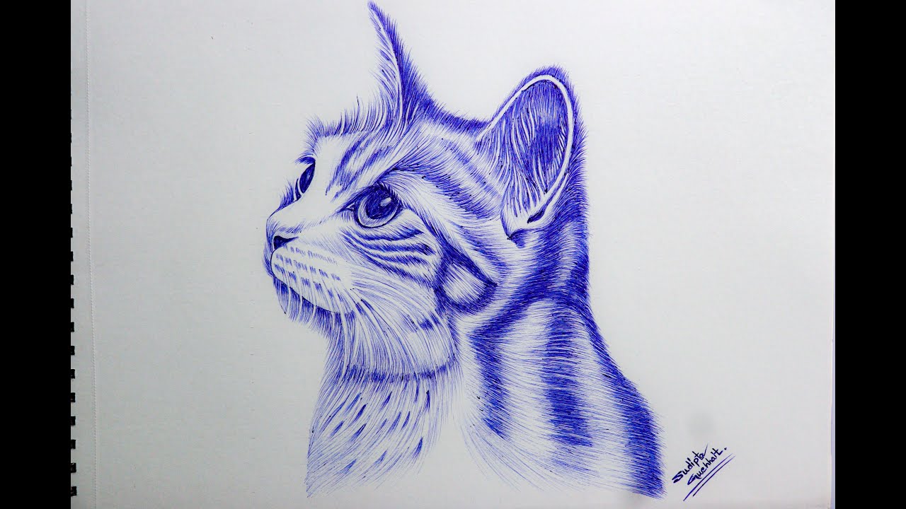How to Draw Realistic Cat With Pen | Step by Step - YouTube