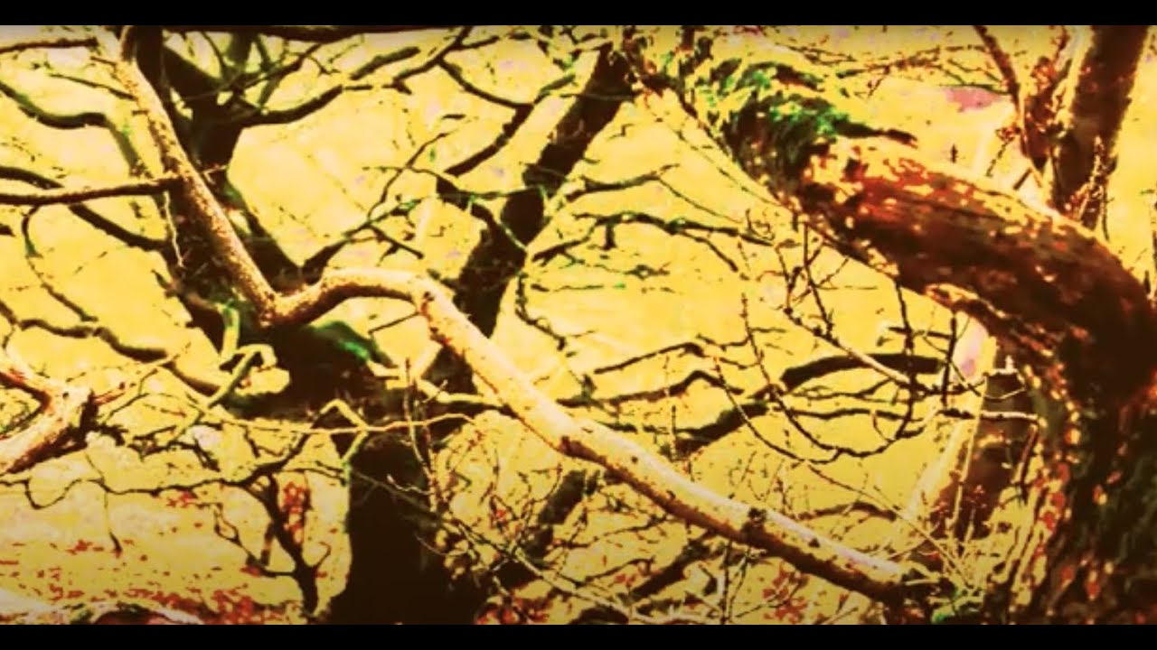 Kent Steedman - The Thing Is (official video) - YouTube