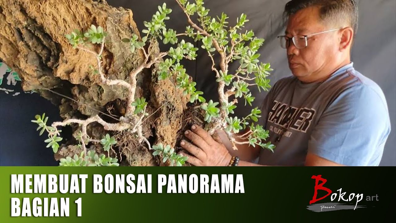 MEMBUAT BONSAI PANORAMA, bagian 1 - YouTube