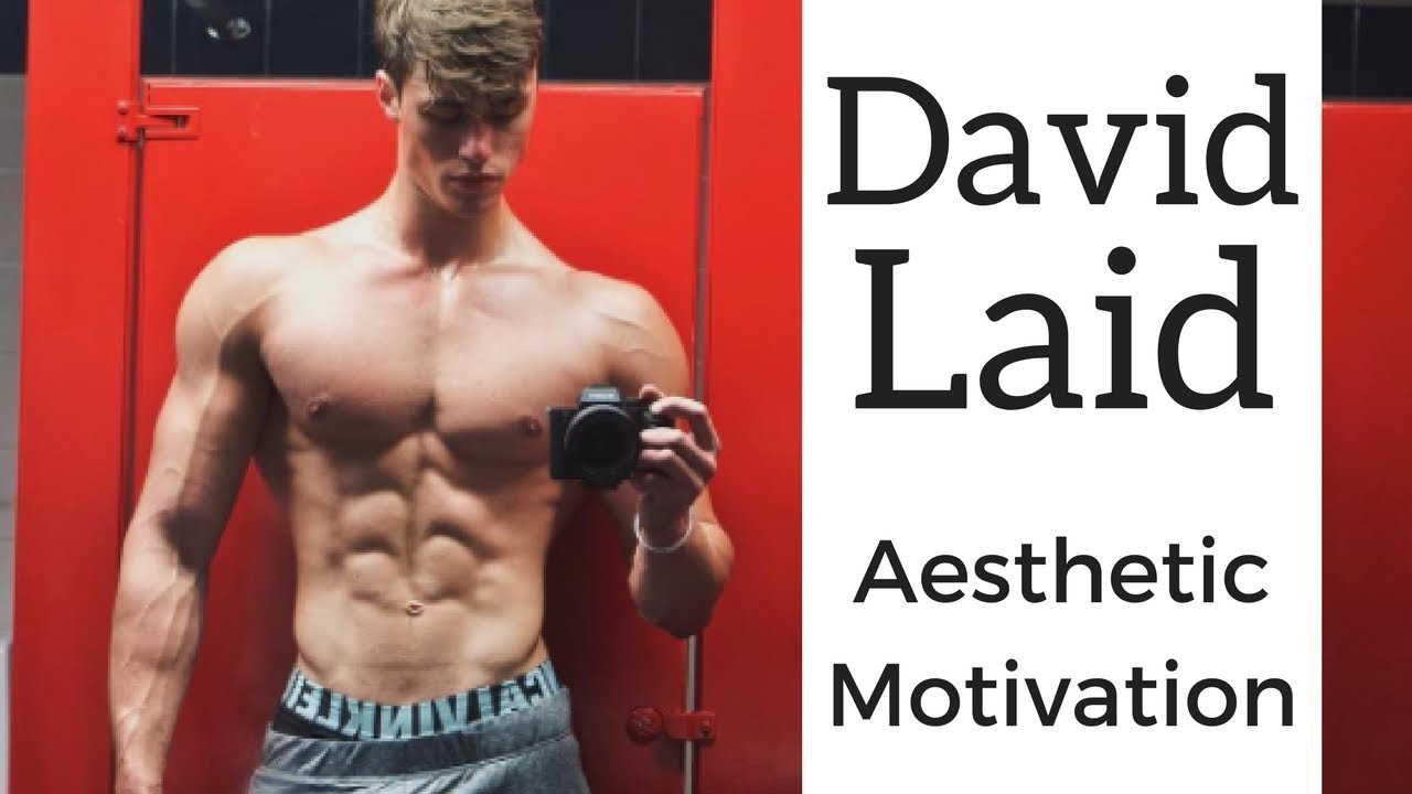 David Laid Aesthetic Motivation 2017 [HD] Transformation - YouTube