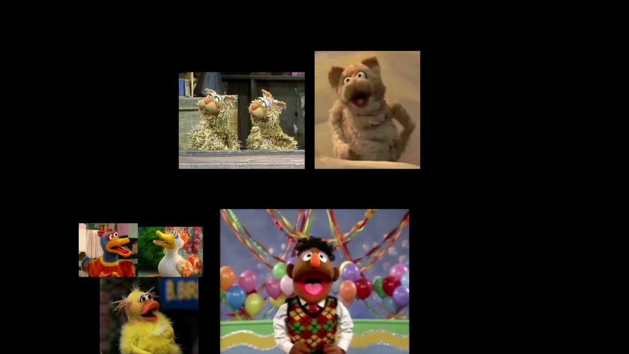 Sesame Street A Cat Had A Birthday At The Beach - YouTube