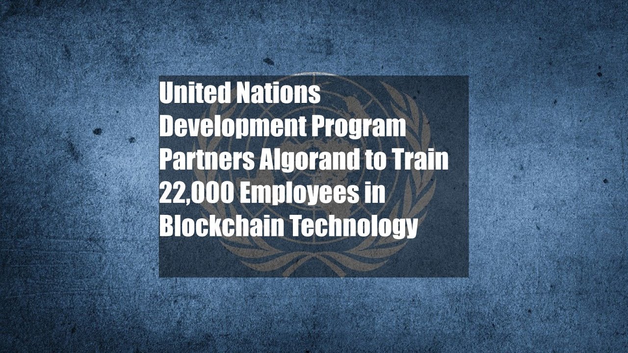 United Nations Development Program Partners Algorand to Train 22,000 ...