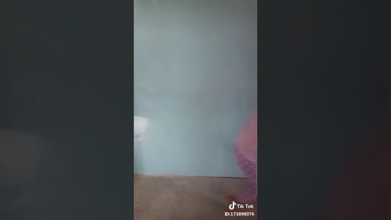 Video Lucu Tante Dan Keponakan Nya Youtube