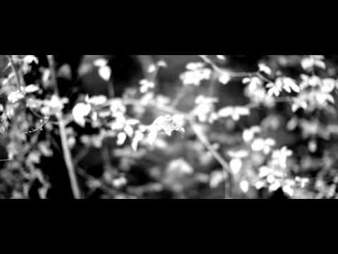 Leyla The Band   Yokluğunda Yeni Klip