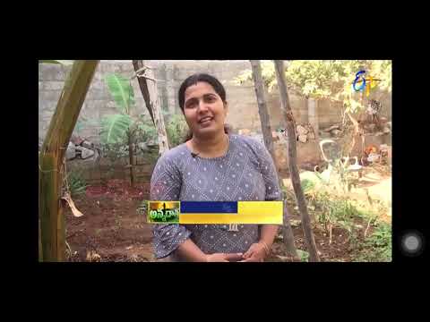 Annadata etv program (granny’s garden) - YouTube
