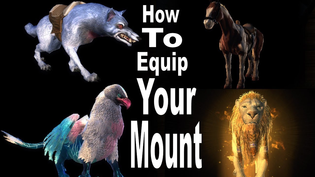 NEW Neverwinter Players How To Equip A Mount In Neverwinter - YouTube