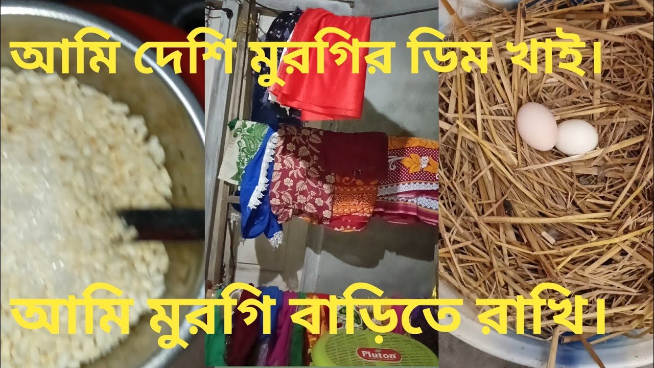 Deshi murgir dim dekhabo aj - YouTube