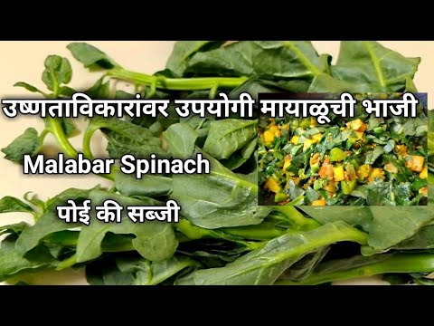 मायाळूची भाजी | Malabar Spinach Recipe | पोई की सब्जी | Mayalu Chi ...