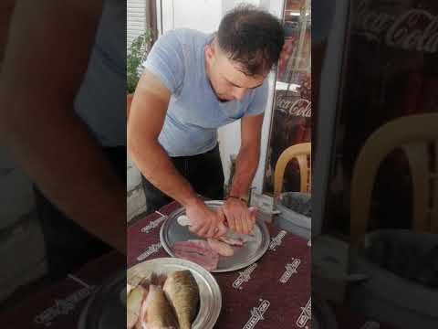 İsrail sazanı (Çim sazanı) kılçıksız fileto çıkarma