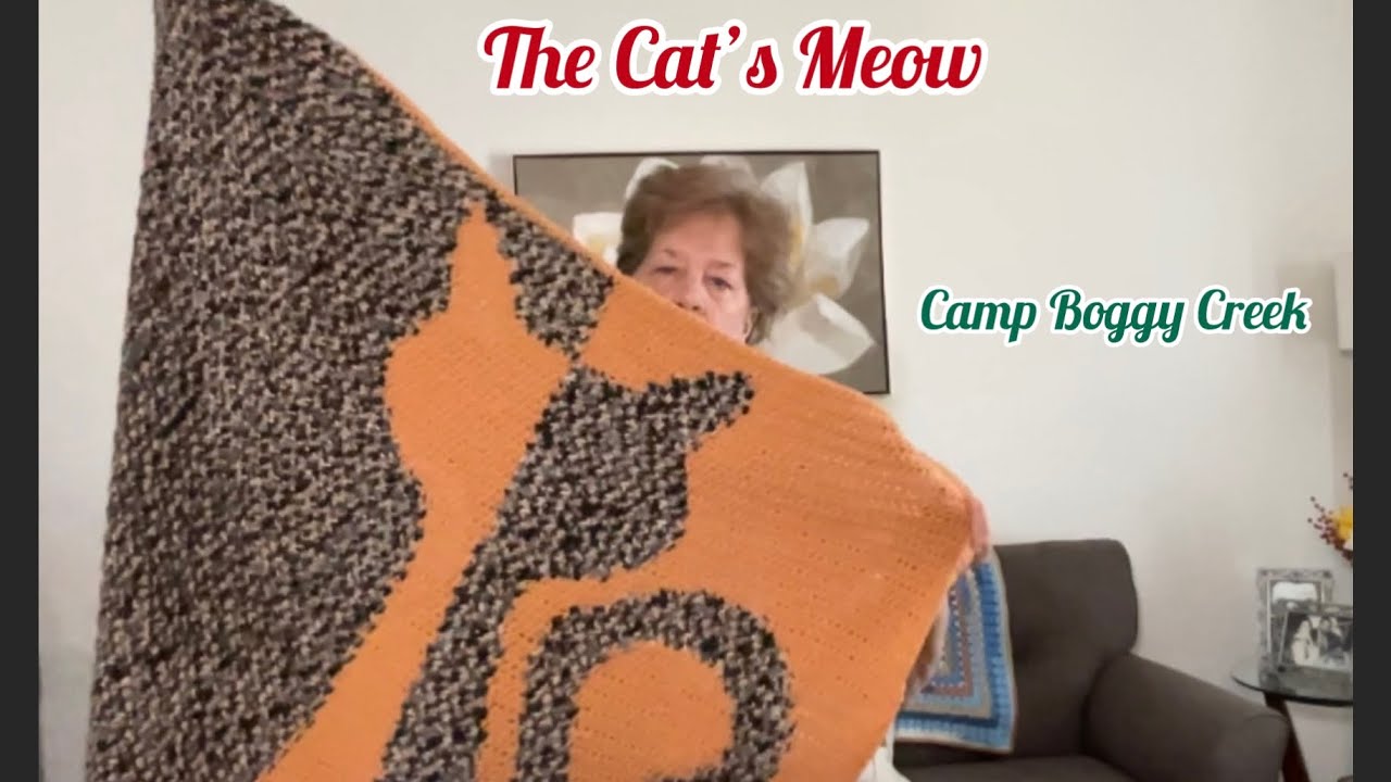 The Cat’s Meow & Camp Boggy Creek 2025 - YouTube