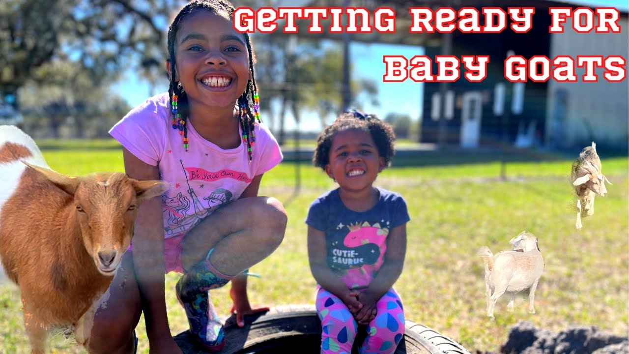 Getting Ready For Baby Goats | Farm Chores - YouTube