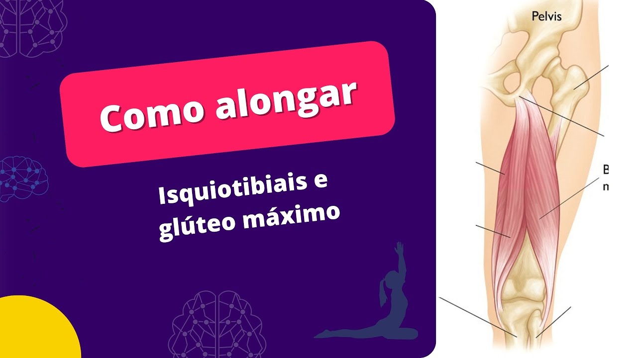 Como ALONGAR os músculos extensores de quadril (Isquiotibiais e glúteo ...