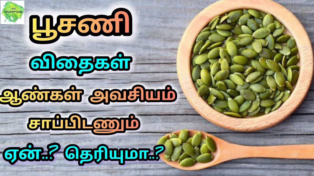 பூசணி விதை பயன்கள் | pumpkin seeds benefits in tamil | poosani vithai ...