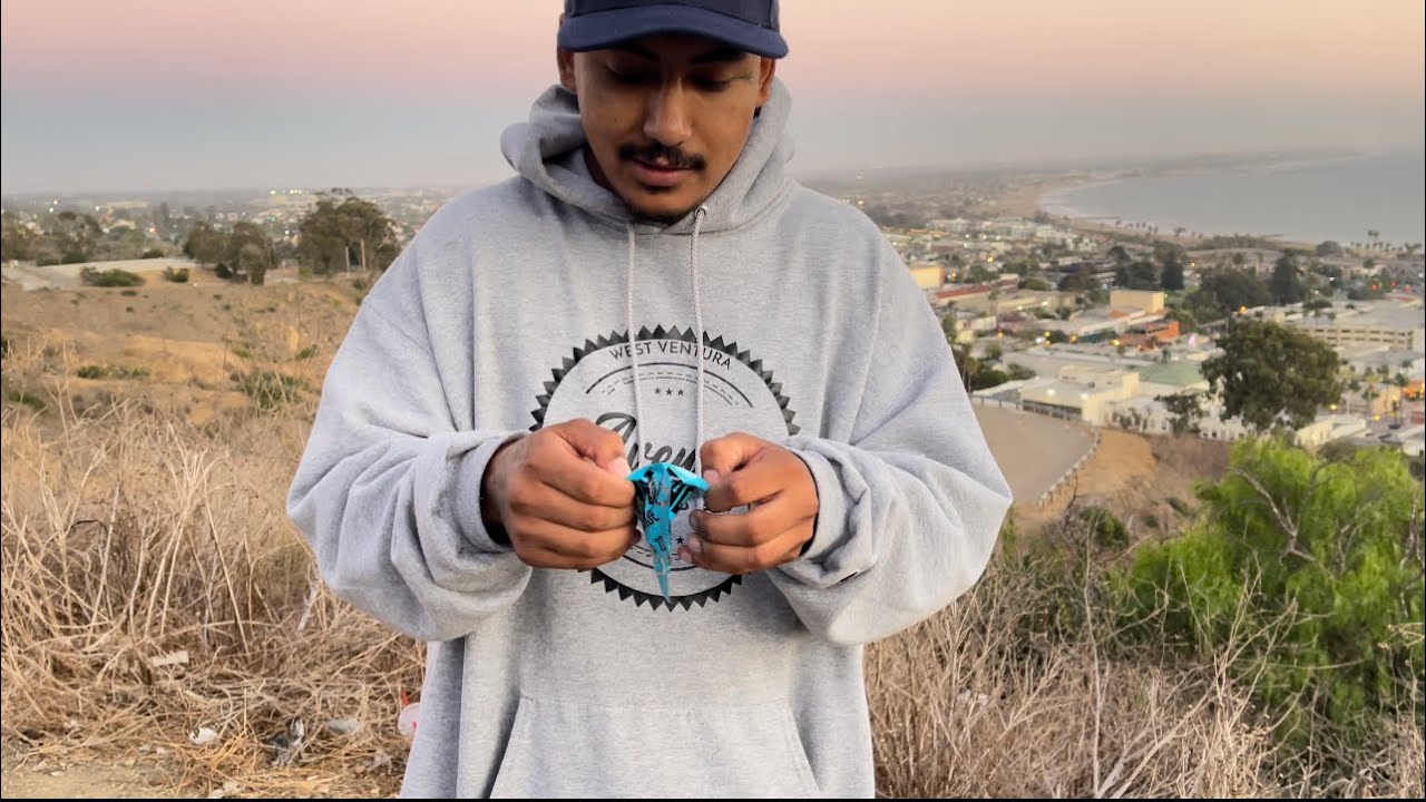 DAY IN THE LIFE OF ROMER (CHIP CHALLENGE GONE WRONG) - YouTube