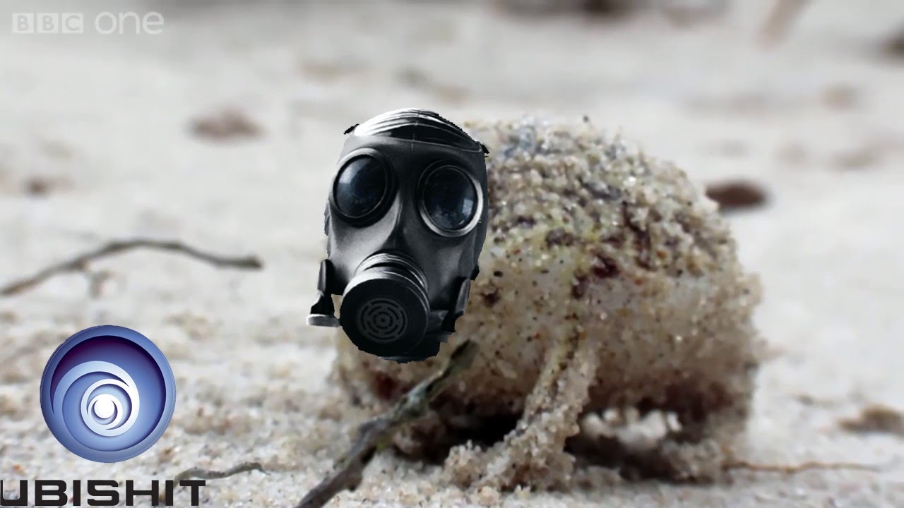 Angry Squeaking Frog: Siege Edition - YouTube