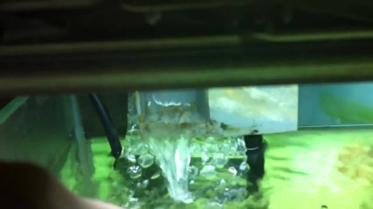 Eliminate or reduce the sound / noise from the fish tank? 如何減少魚缸外掛過濾器的 ...