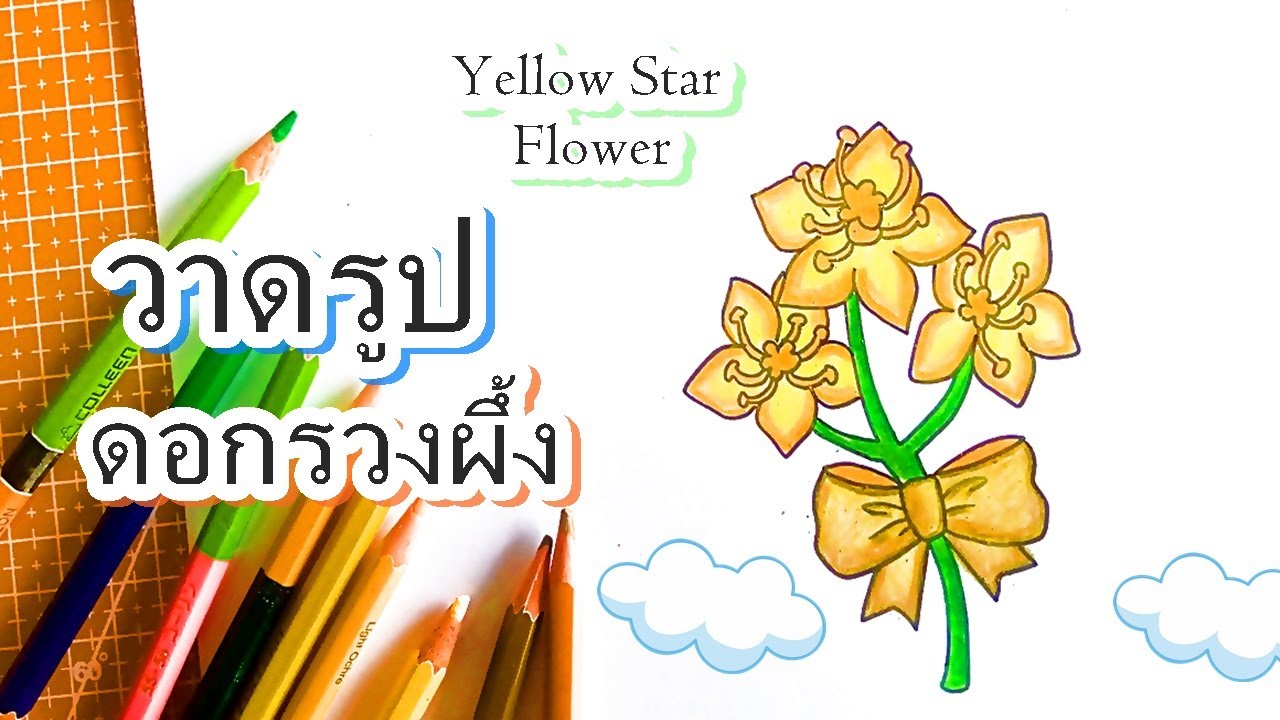 How to draw Yellow Star Flowers very easy. วาดรูปดอกรวงผึ้ง ดอกไม้ประจำ ...
